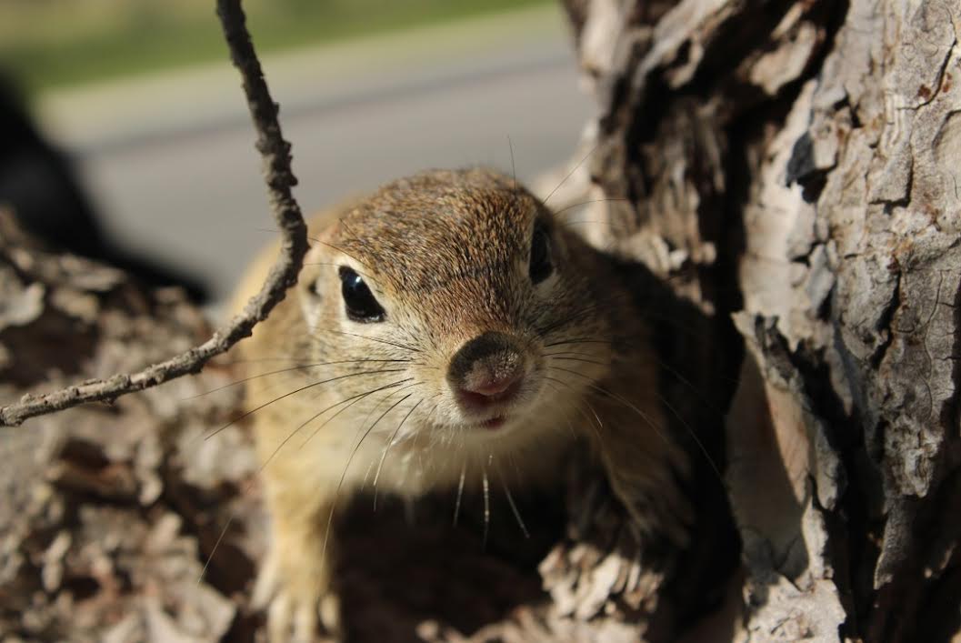 Stellantis obtiene la Designación Plata por WHC en su Planta Ensamble ...